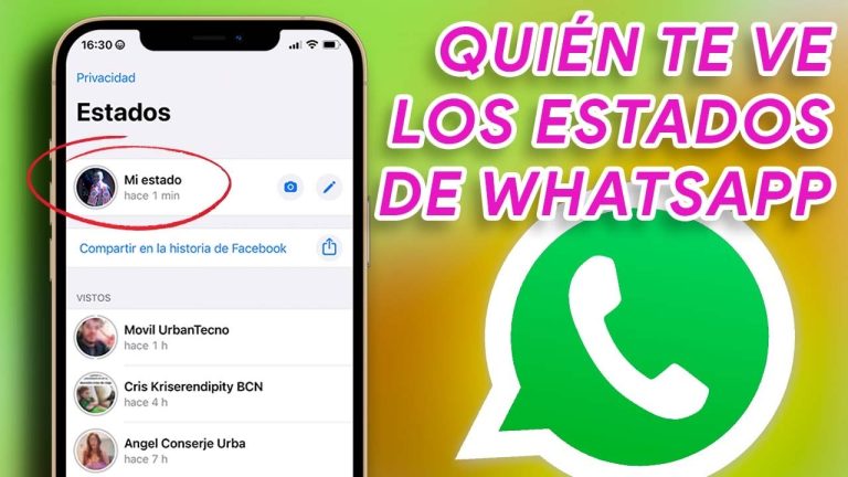¿Cómo saber quién ve tu estado de WhatsApp? | Actualizado octubre 2025