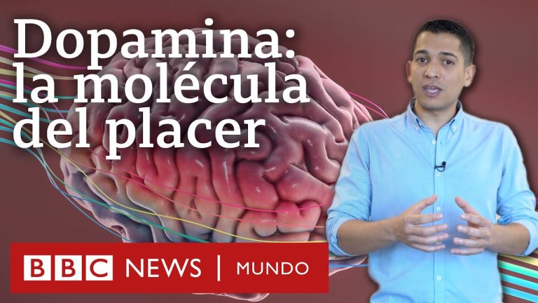 Funciones y usos del medicamento dopamina | Actualizado octubre 2025